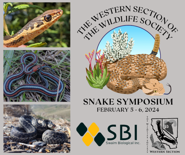 Pre-Meeting Professional Development Workshops & Field Trips – 2024 ...